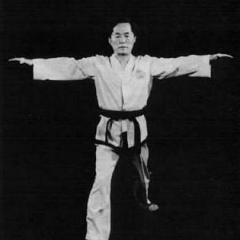 General Choi Hong Hi Photo Gallery - ITF Taekwon-Do