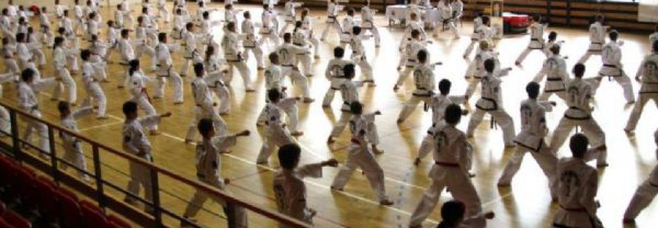 International ITF Seminar - Grandmaster Trevor Nicholls