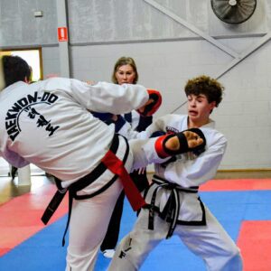 Step Sparring Manual Updated - 1, 2 and 3 Step Sparring routines